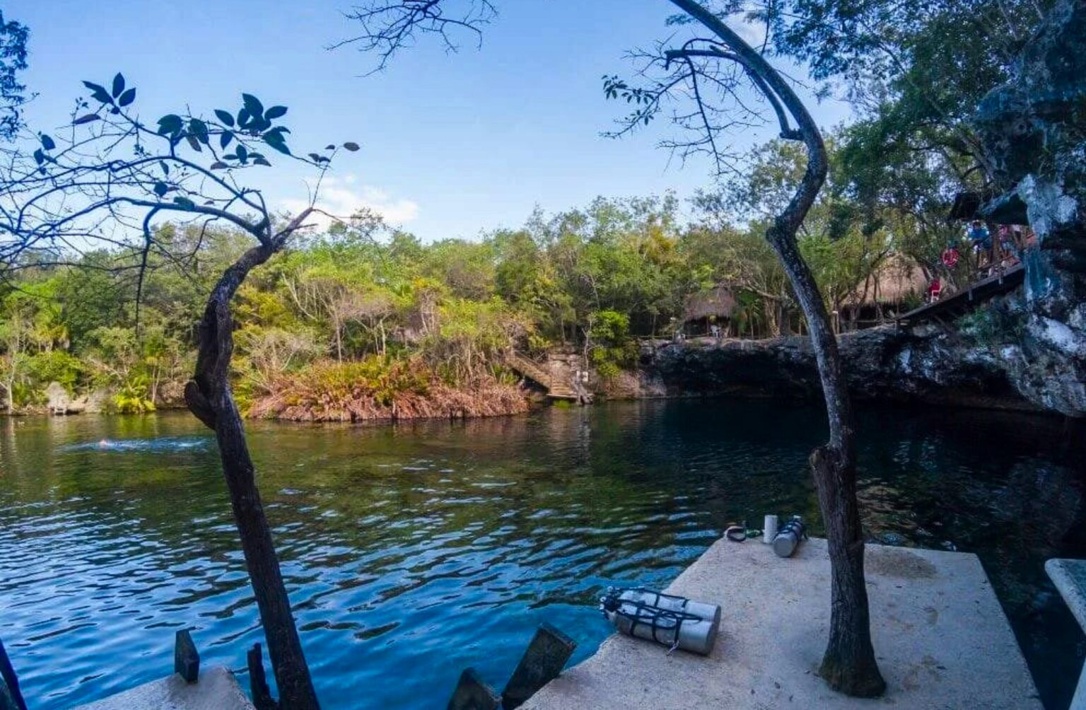 What is a Cenote ? Origin, Formation and More...