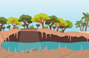 What is a Cenote ? Origin, Formation and More...