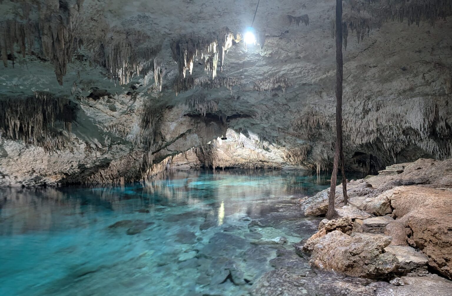 What is a Cenote ? Origin, Formation and More...