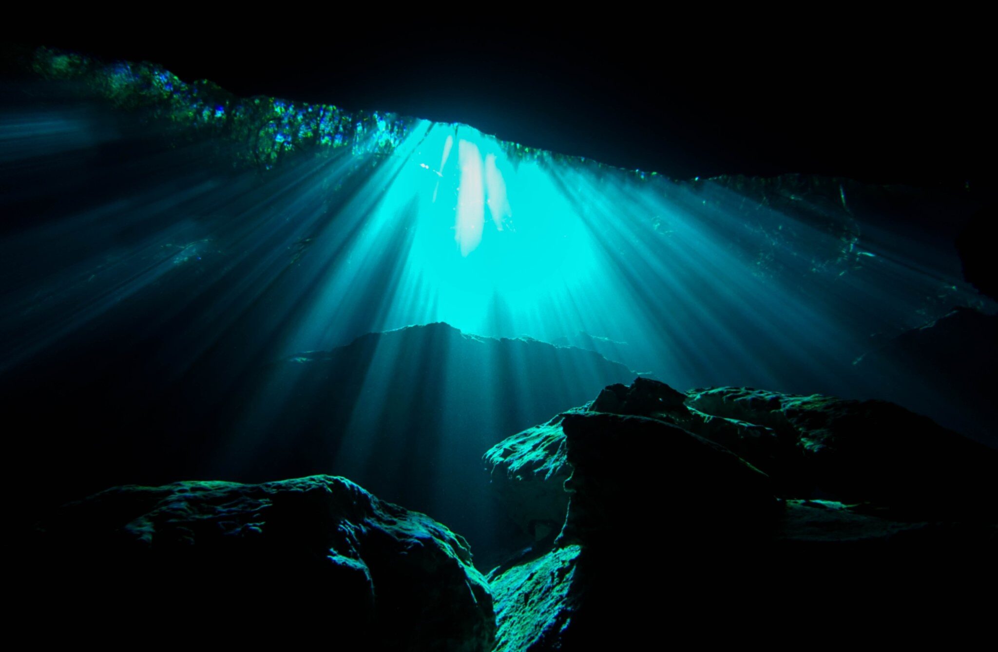 What is a Cenote ? Origin, Formation and More...