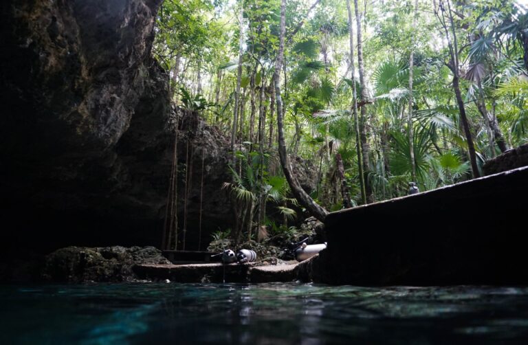 What is a Cenote ? Origin, Formation and More...
