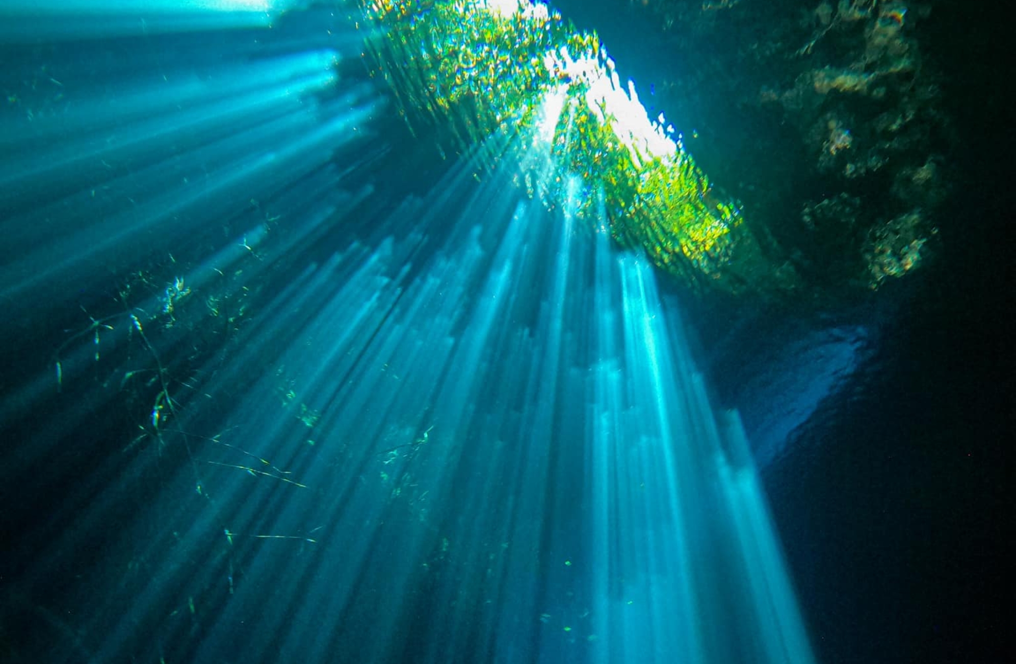 What is a Cenote ? Origin, Formation and More...