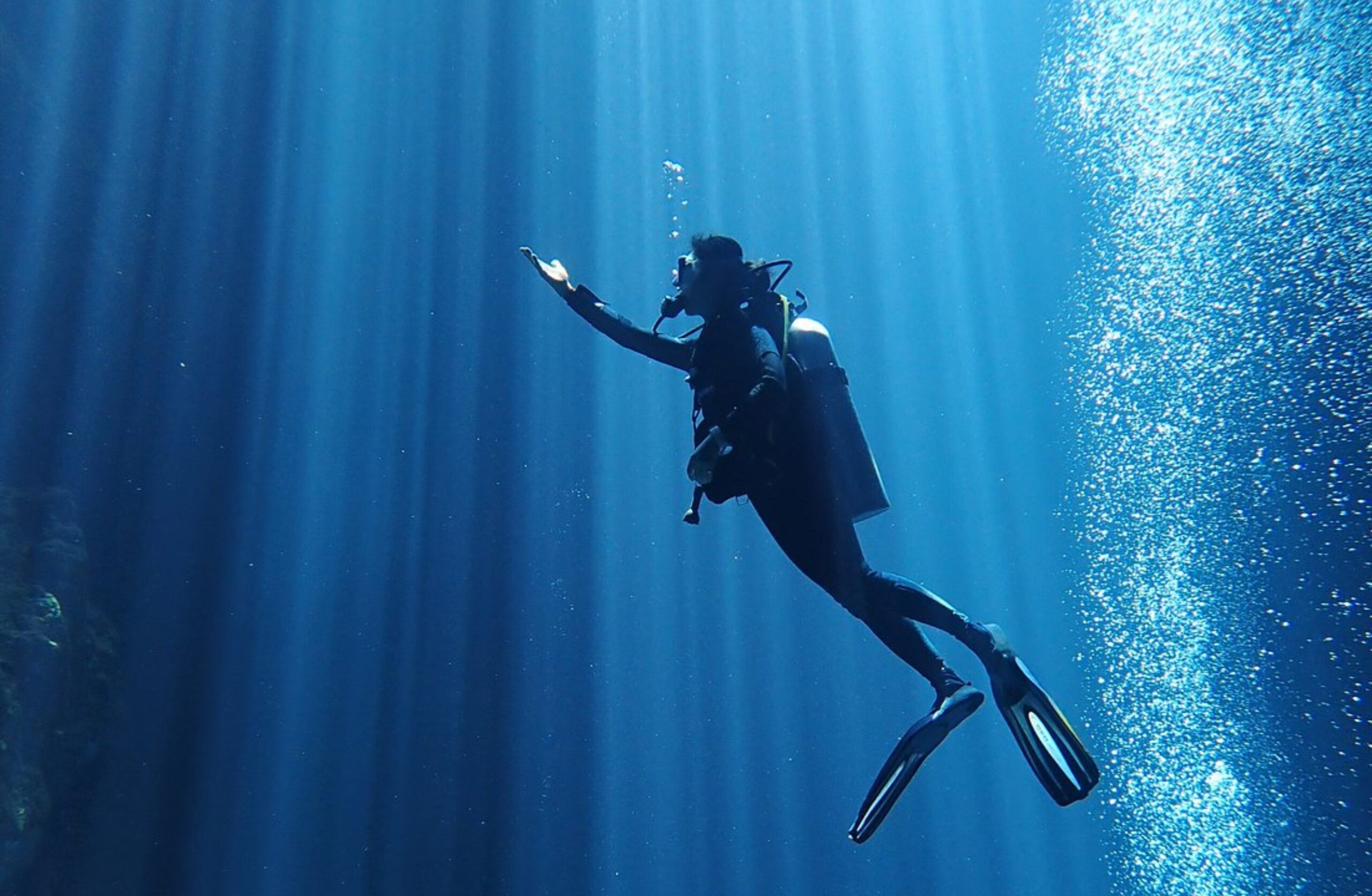 When to Dive in a Cenote? The Best Seasons to Know