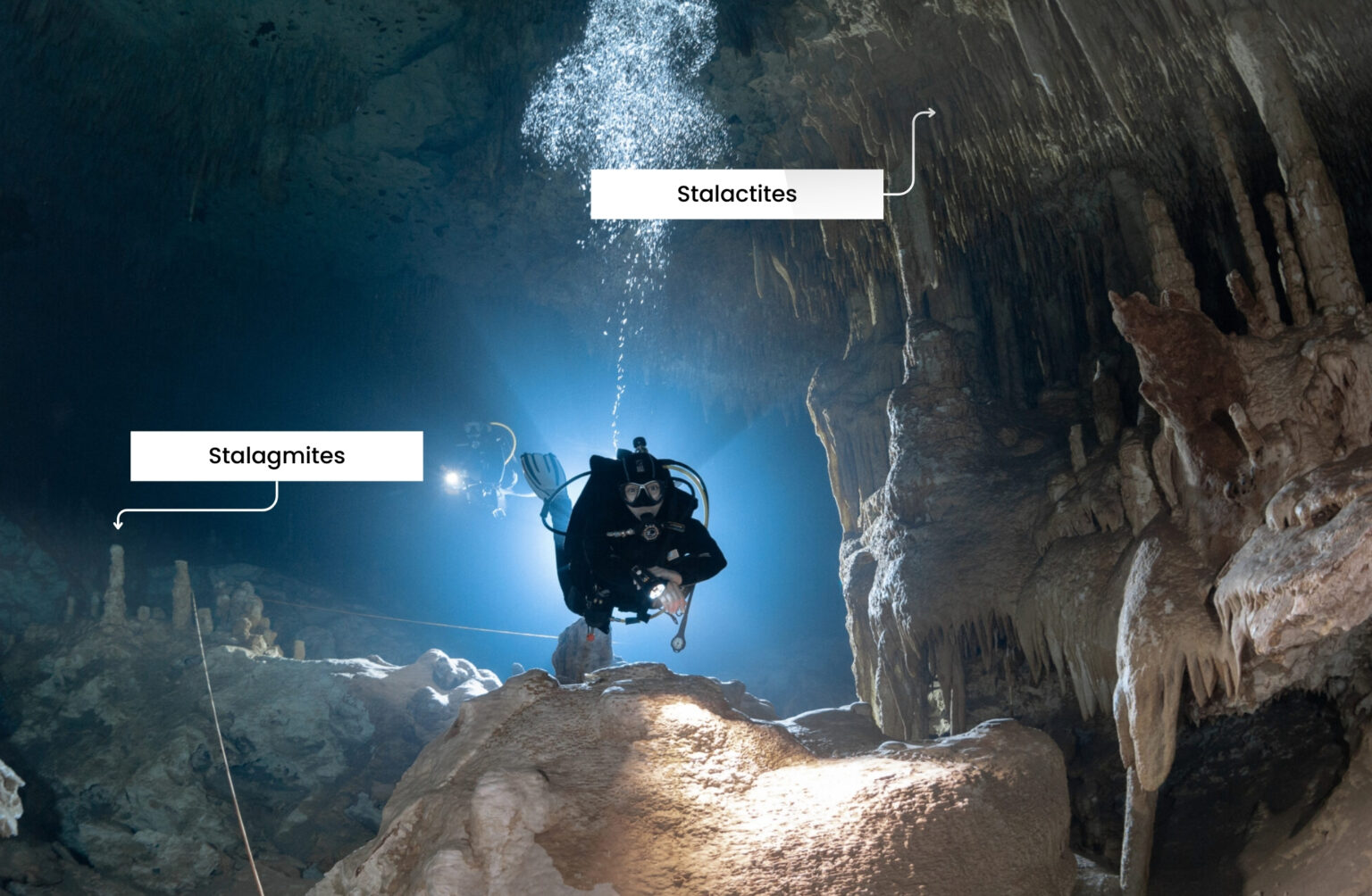 What is a Cenote ? Origin, Formation and More...