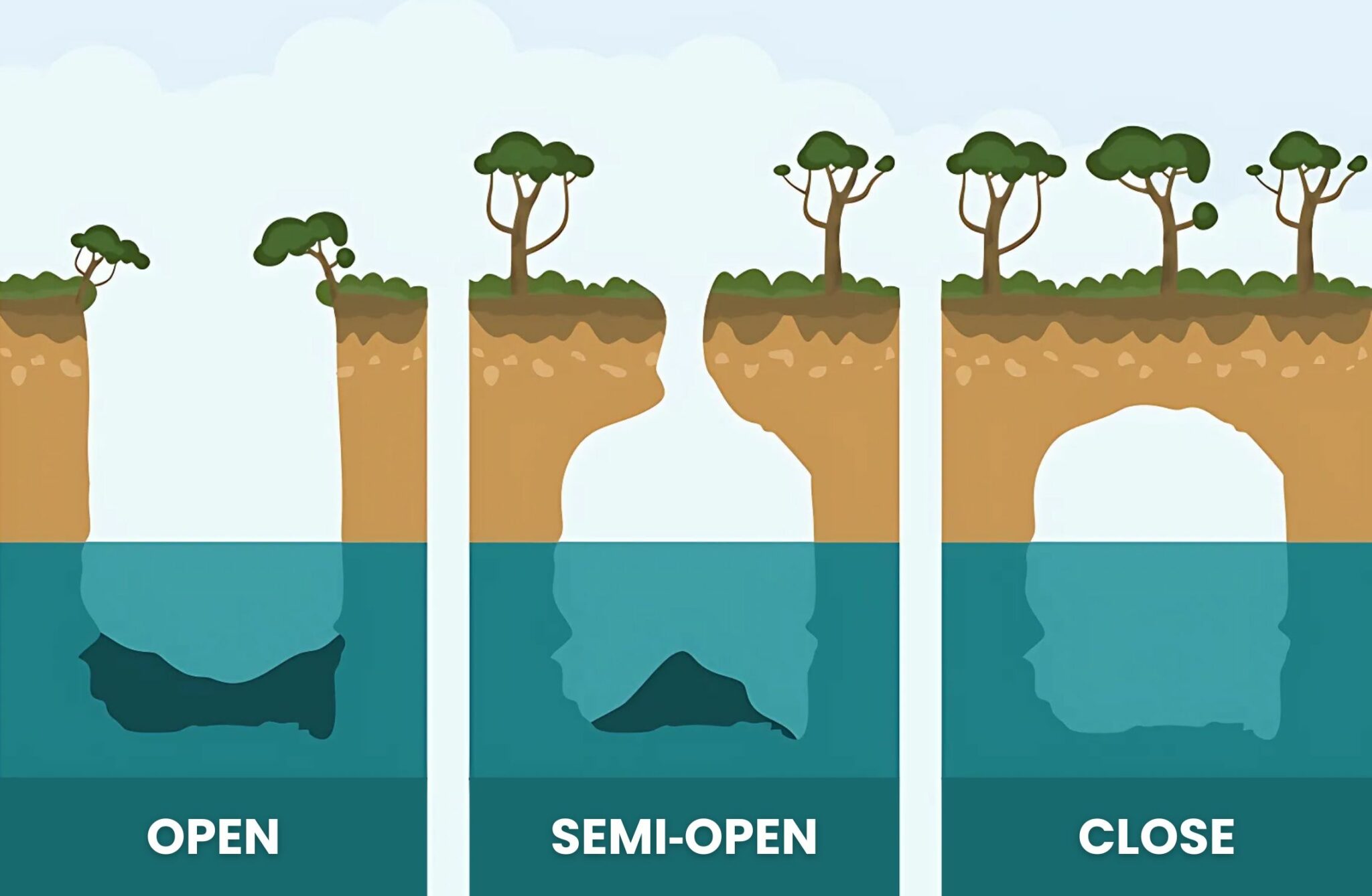 What is a Cenote ? Origin, Formation and More...