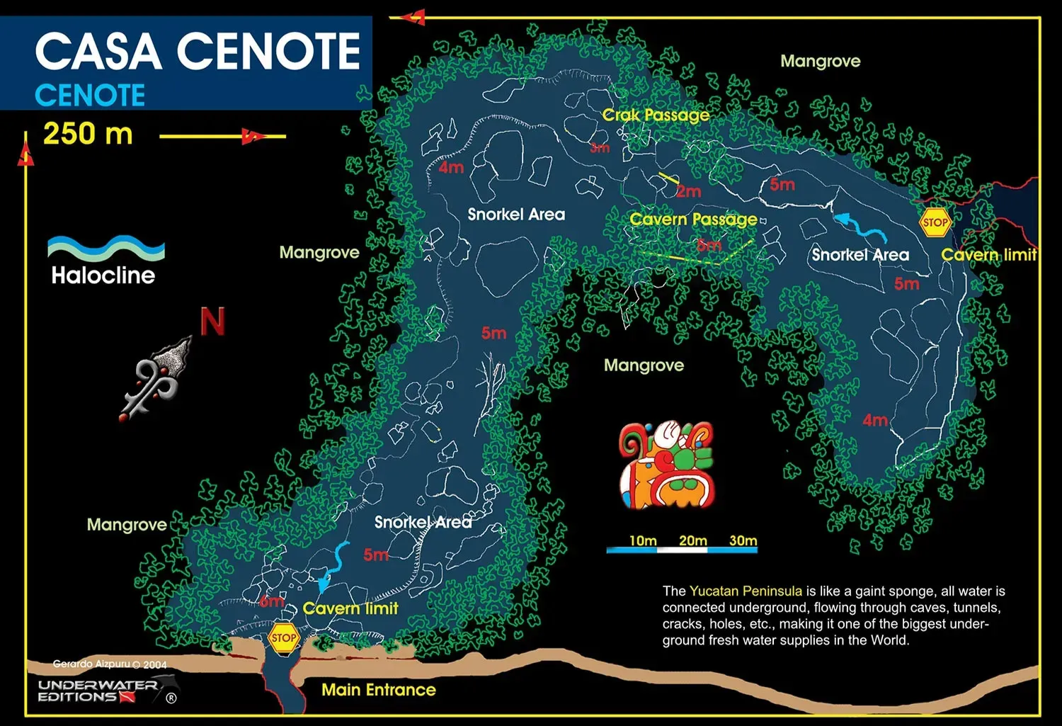 Diving at Casa Cenote : Everything you need to know