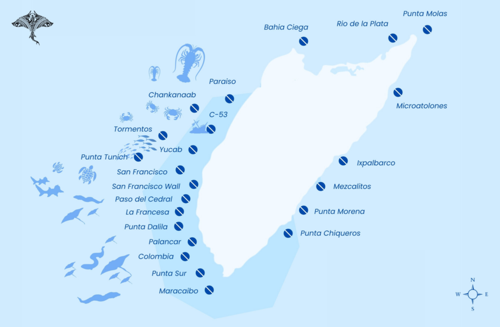 What is the best place to go diving in Mexico?